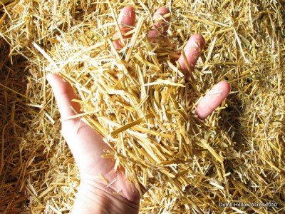 Caring For Alpacas – Page 2 – Dutch Hollow Acres