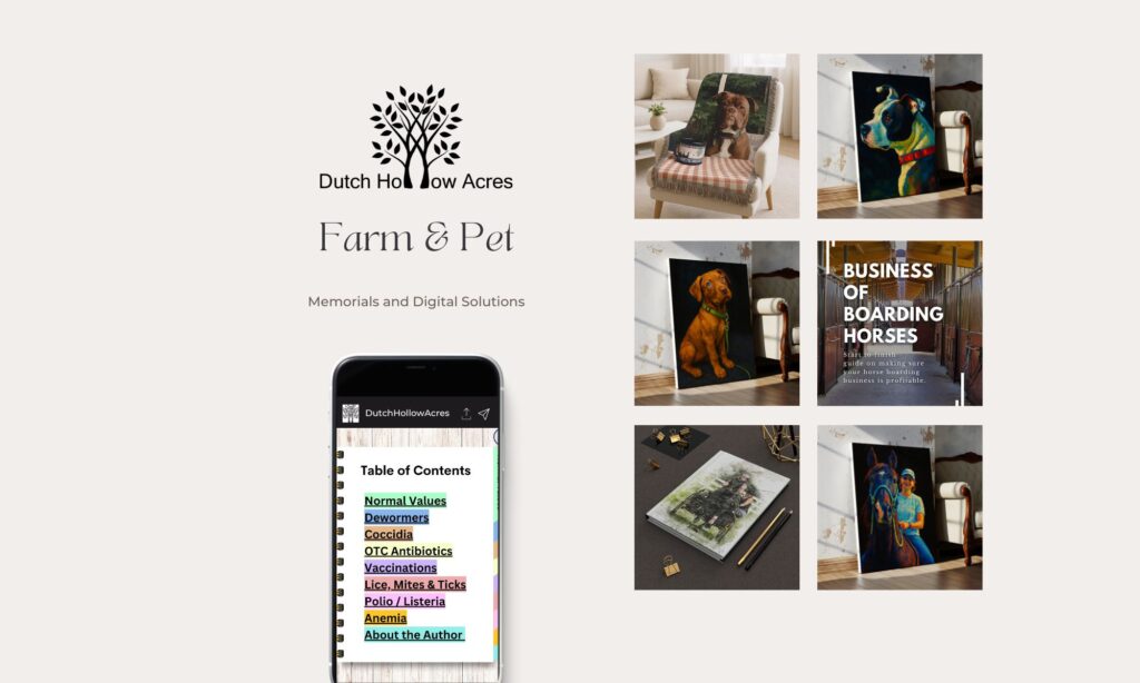 How To Make A Rag Rug (Toothbrush Rug) – Dutch Hollow Acres